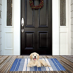 Asraie Eco Friendly Hand Woven & Reversible Cotton Stripe Rag Rug 100% Recycled Cotton Area Rug for Living Room Kitchen Entryway 2x3' (Steel Blue & White)