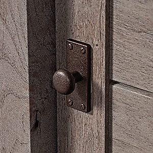 Sauder Cottage Road TV Credenza with Doors, L: 59.13" x W: 15.59" x H: 24.65", Mystic Oak Finish