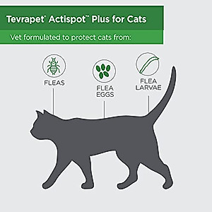 TevraPet Actispot II Flea Treatment for Large Cats 9+ lbs | 6 Doses | Powerful Prevention and Control