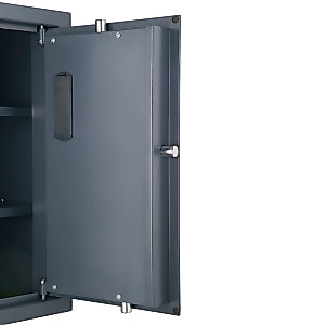 Digital Safe - Home or Office Locked Box for Money, Handguns, Jewelry, and Important Documents by Paragon Safes (Dark Gray)