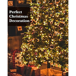 BUYISNIS Solar String Lights Outdoor, 66Ft 200 LED Solar/USB Powered Fairy Lights, 8 Modes with Remote Christmas Lights for Patio Garden Tree Party Yard Weeding Xmas Outside Decoration (Warm & White)