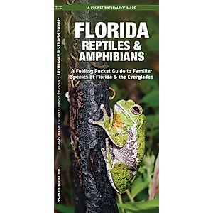 Florida Reptiles & Amphibians: A Folding Pocket Guide to Familiar Species of Florida & the Everglades (Nature Observation North America)
