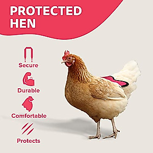 Hen Saver Hen Apron/Saddle, Single Strap, X-Large, Awareness Pink