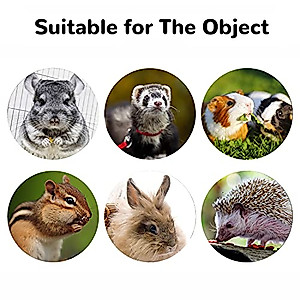 G YITENG 3 Pc Small Animal Plush Bed Mat,Warm Fluffy Kitten Puppy Blanket,Fleece Sleep Pad for Ferrets Hamster, Rabbit Bed Guinea Pig Bed (Large:19 x 12in, Set-G)