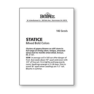 Burpee Mixed Bold Colors Statice Seeds 100 seeds