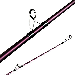 Berrypro Surf Spinning Rod Surf Casting Fishing Rod Carbon Fiber Travel Fishing Rod (9'/10'/10'6''/11'/12'/13'3'') (12'-Spinning 2-Piece)