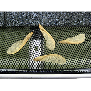 6" Small Hole Speed Screen / 6" Gutter Guard / 6" Gutter Protection Powder-coated Black (100ft/box)