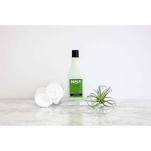 SAUCE BEAUTY Gift Bundle - Guacamole Deep Moisture Hair Mask + Chimichurri Mint Tingle Repair Shampoo