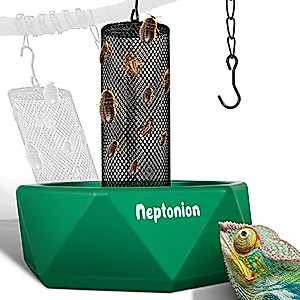 NEPTONION Hookable Chameleon Feeding Bowl, Professional Live Worm Organizer with Column for Prey to Climb and Move, Suitable for Lizard, Bearded Dragon, Iguana, Gecko, Toad, Frog