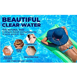 Black Diamond Stoneworks Ultimate Spa Filter Cleaner Fast-Acting Spray for Hot Tub & Pool Filters 1-Gallon and Ultimate SPA and Pool Natural Enzyme Water Clarifier Treatment 1-Quart.