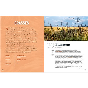 100 Plants to Feed the Birds: Turn Your Home Garden into a Healthy Bird Habitat