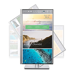 HP EliteDisplay E233 23-Inch Screen LED-Lit Monitor Silver (1FH46AA#ABA) (Renewed)