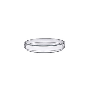EISCO Petri Dish, 5.9" (150mm) - Beaded Edges - Easy to Sterilize for Repeated Use - Soda Glass