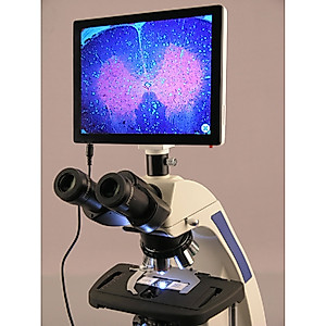 AmScope - 40X-1000X Plan Infinity Laboratory Compound Microscope with LCD Touch Pad Screen - T720Q-TP