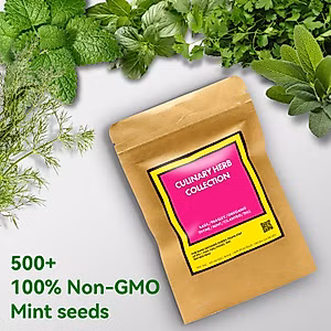 LYKO Basil Cilantro Dill Mint Seed Starter Kit for Hydroponics Growing System, Vegetable Pod Kits for Planting Indoor Garden 500+ Seeds (Basil, Parsley, Oregano, Thyme, Mint, Cilantro & Dill) 7 Pods