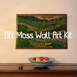 Prefleur Preserved Reindeer Craft Moss Natural Green DIY Kit Gardenning Art Wall Florist Easter Table Wedding(0.85lb)(Green-05)