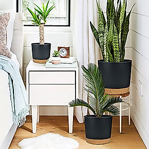 Plant Pots for Indoor Plants 6.5 Inch, Plastic Flower Pots with Drainage Holes and Saucers Home Garden Outdoor Decorative Black Modern House Planters for Herbs/Aloes/Succulents Planting 2 Pack