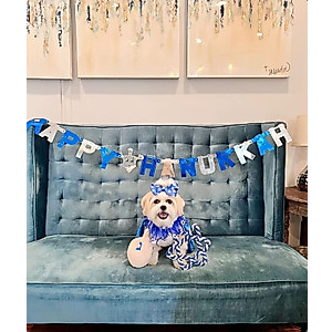 Midlee Star of David 6.5" Rope Dog Toy