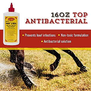Dr. Naylor Hoof 'N Heal, Hoof Rot Foot Rot Wound Care, 16oz, Sheep Goat Cow Horse, 1-pack