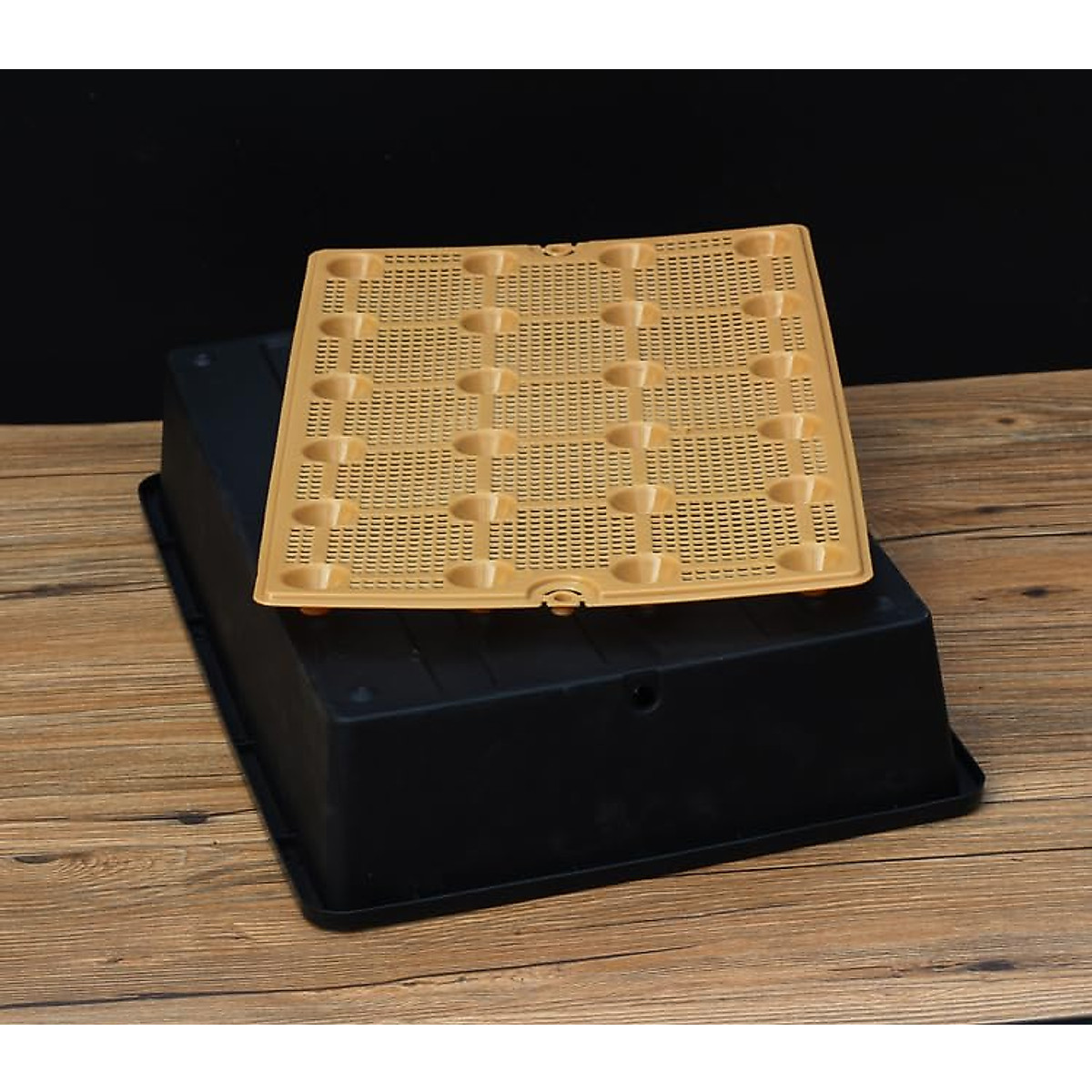 Lil Gnomies Propagator with Humidity Dome Durable Seed Tray Germinating Cutting Clone & Plant Propagation Kit (Propagator+24LitePot)