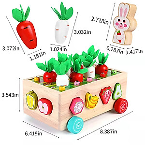 GRINNNIE Montessori Toys for Toddlers 3 4 5 Years Old, Wooden Shape Sorting Toys Preschool Educational Fine Motor Skills Learning Carrot Harvest Game, Great Birthday Gift for Boys Girls