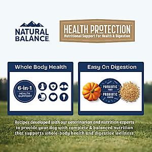Natural Balance Health Protection Small Breed Dry Dog Food – Whole Body Health, Easy on Digestion Dog Food Made with Chicken, Brown Rice & Pumpkin for Dogs - 4lbs.