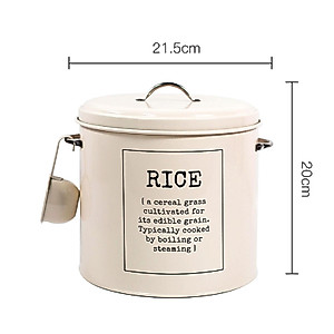 Stainless Steel Rice Storage Box with Lid and Spoon, Large Food Storage Containers, Great Rice Canisters Sets, Kitchen Countertop Organizer Jar for Rice/Flour/Soybean/Grain, Style B