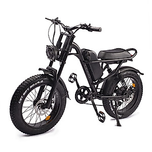 RROMXYUXI Electric Mountain Bike for Adults ，20 Inch Off Road Inflatable Tire Electric Bicycle, Shock Absorbing Seat, Double Disc Brake Bicycle ，500W 27.9MPH with 48V 22Ah Removable Battery (Black)