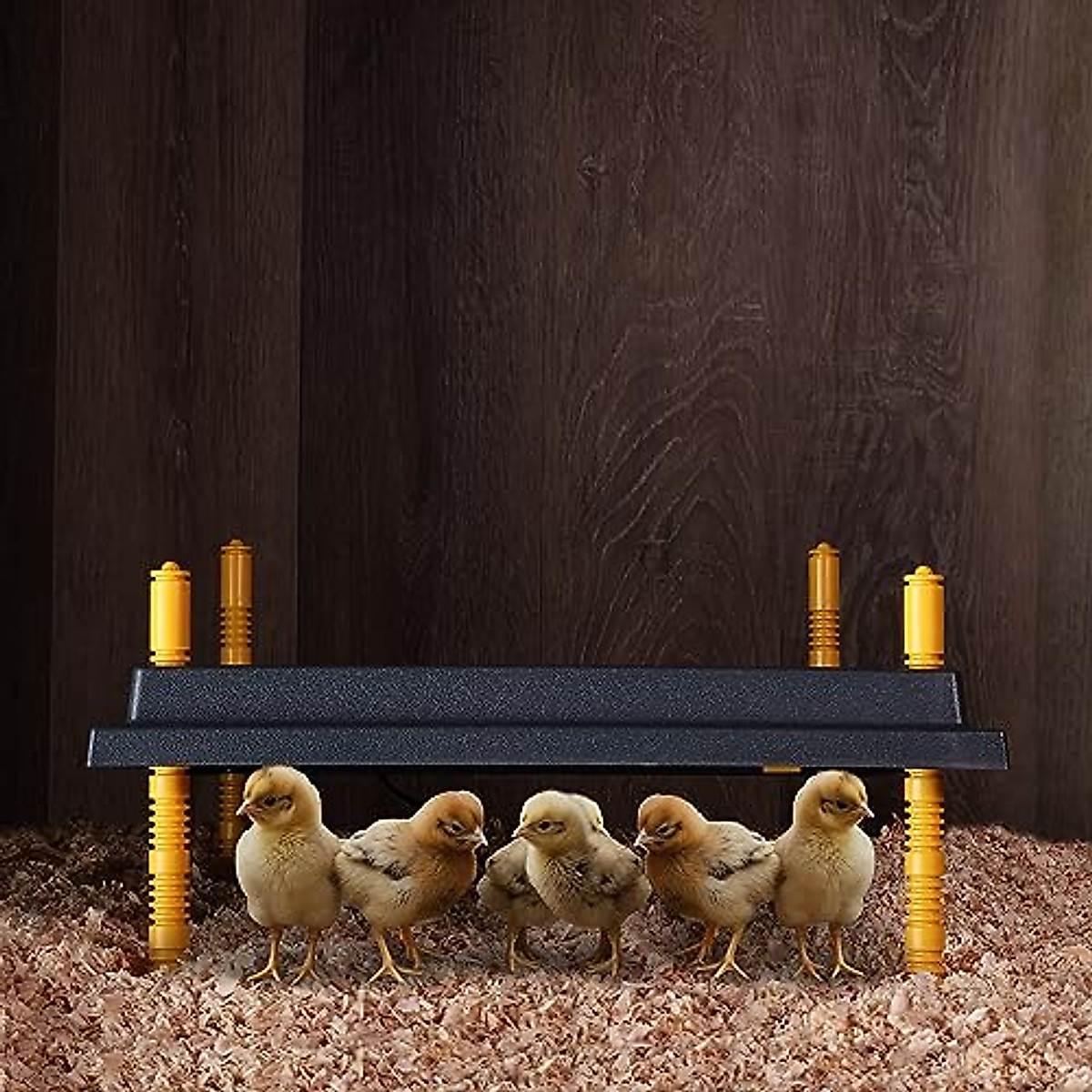 Rural365 Chick Heating Plate Brooder Plate - 10 Inch Brooder Heat Plate for Chicks and Ducklings with Adjustable Height