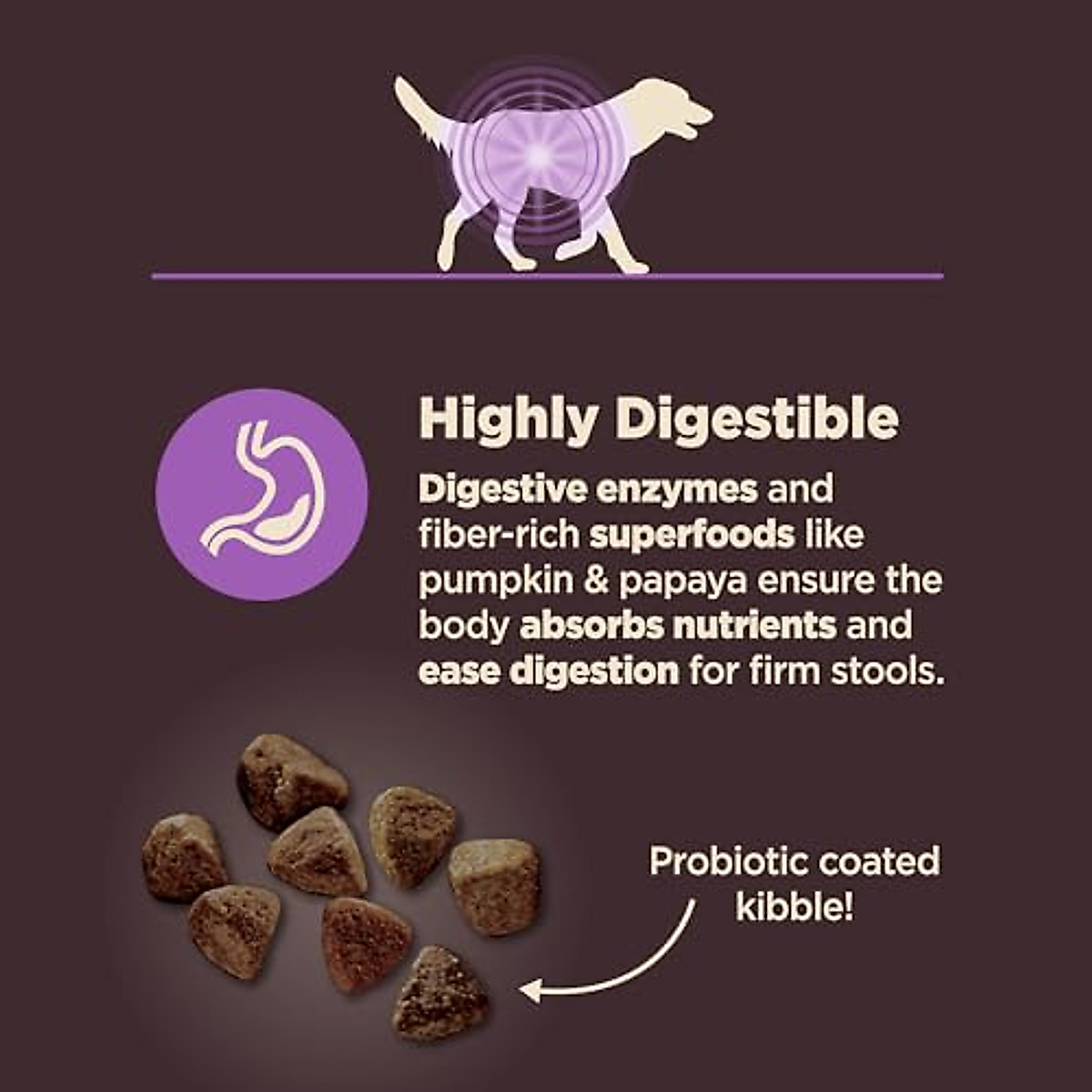 Wellness CORE Digestive Health Dry Senior Food with Wholesome Grains, Advanced Age for Dogs Over 7-Years Old, for Dogs with Sensitive Stomachs, Made in USA with Real Chicken (Senior, 4 Pound Bag)