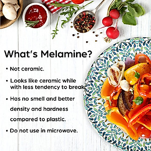 Aclema Melamine Dinnerware Sets 12 Pcs Dish Set Plates Bowls Unbreakable for Kitchen Dinner Outdoor Indoor Service for 4 Vintage