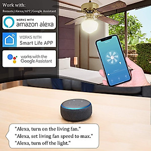 Smart WiFi Ceiling Fan Remote Control Kit Universal Small Size Receiver 12 Hours Countdown Timing 4 Speeds Compatible with Echo Alexa Google Assistant Replacement of Hampton Bay Harbor Breeze Hunter