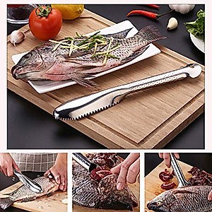 MollyZillah Stainless Steel Fish Scale Remover,A Magic Kitchen Gadgets/Accessories/Tools/Kit, A Descaler Tool For Cleaning Salmon/Grouper, Fish Scale Scraper/Skinner/Cleaner For Fast Scales Peeling