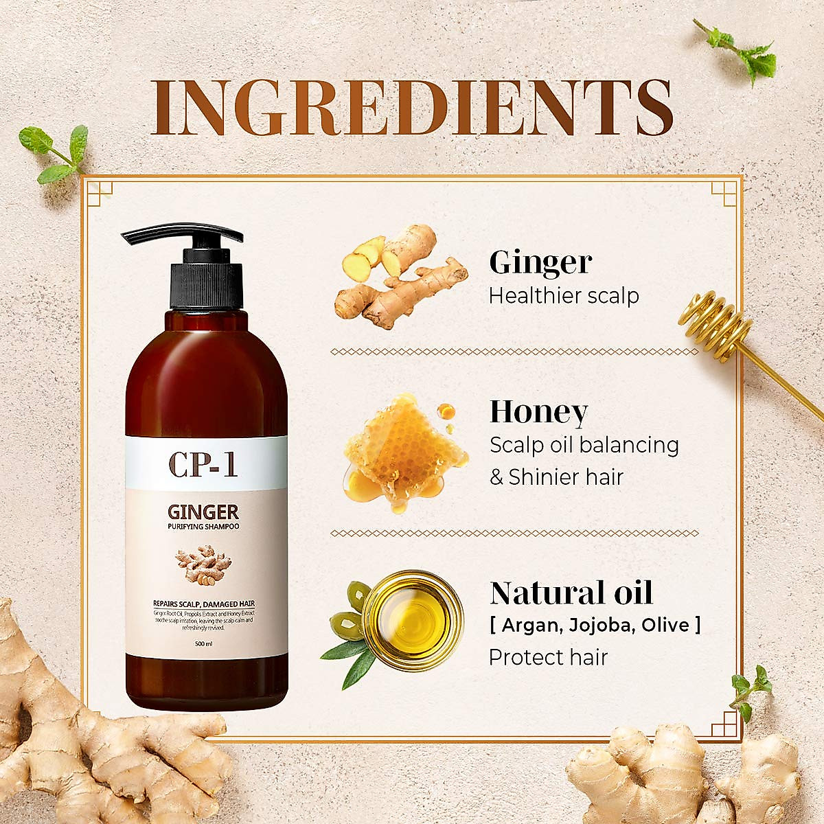 CP-1 GINGER PURIFYING SHAMPOO, Recovery Strengthening care, Scalp care, 16.9 fl oz