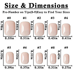 AddFavor 240pcs Press on Nails Short Square Fake Nails Glossy Full Cover Acrylic Artificial Glue on Nails Kit for Women and Girls, Jelly Nude Nails