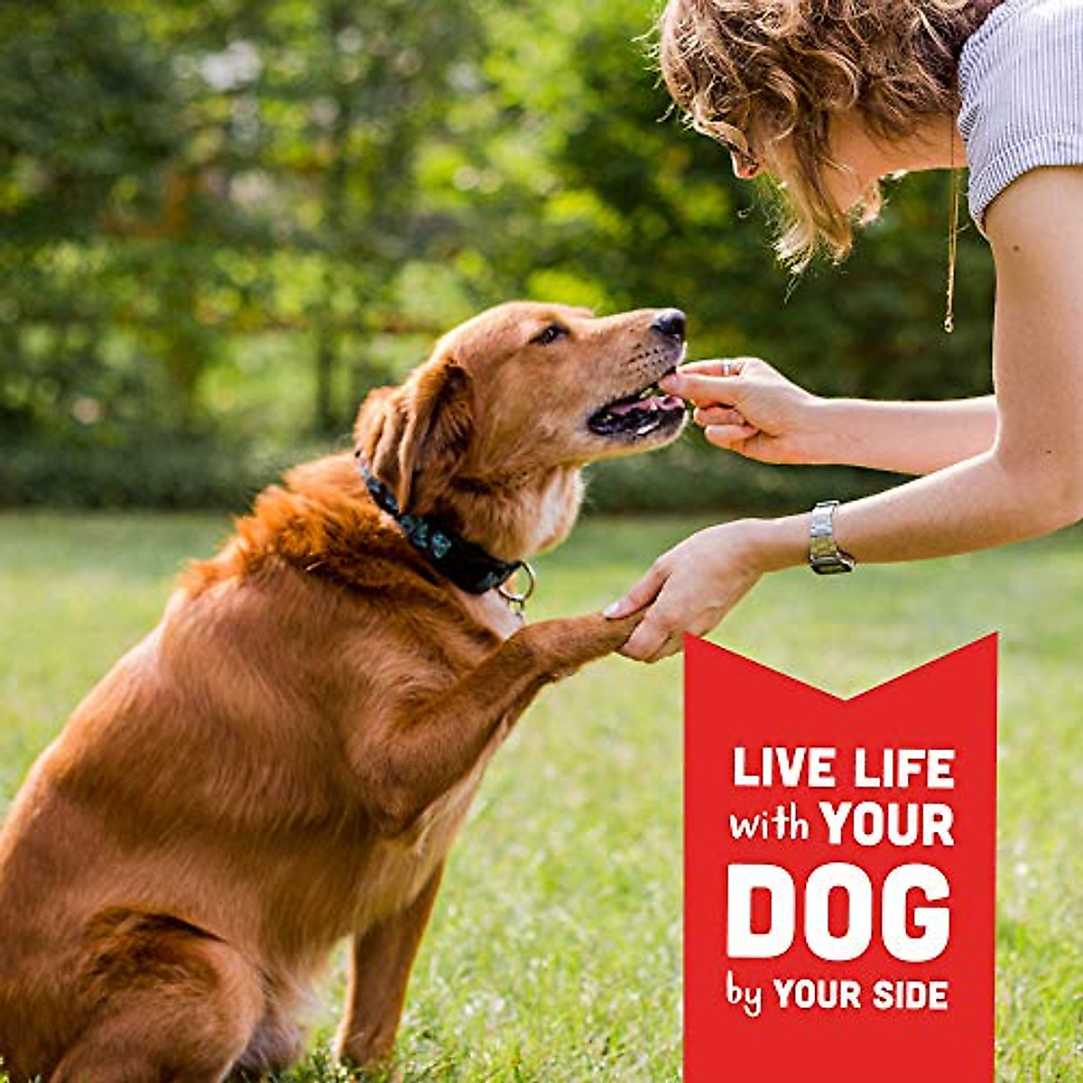 Cloud Star Corp, Wag More Bark Less Grain Free Oven Baked Peanut Butter & Apples Dog Biscuits