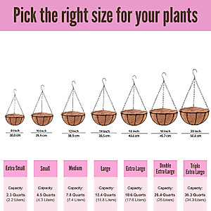 LaLaGreen Hanging Baskets for Plants (3 Pack, 10 Inch) Hanging Planter Outdoor with Coco Liner, Metal Wire Flower Basket Pots Holder Hanger Hook Deck Patio Porch Garden Balcony Outside Decoration