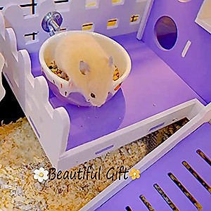 Hamster Food Bowl,Small Animals Ceramic Food Water Bowl Prevent Tipping Moving for Guinea Pig Rabbit Gerbil Chinchilla Hedgehog Rat (2 Pack) (- Color: Purple + Blue)
