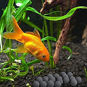 Lystaii 120pcs Tourmaline Balls for Betta Aquarium Tank Balls Mineral Calcium Mineral Balls for Freshwater Aquarium Tank Shrimp Crayfish Water Conditioner Aquatic Décor Tank Accessories