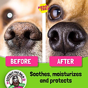 Dog Paw Balm Soother & Moisturizer 2 oz with Natural Shea Butter Coconut Oil Beeswax Heals and Repairs Cracked Dog Paws Snout & Elbows Snow & Dry Weather Protection Ointment Safe Invisible Barrier