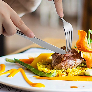 faderic 6-Piece Dinner Knives Set with Hollow Handle Table Knife Flatware Stainless Steel Mirror Polishing 9-Inch Silver Round