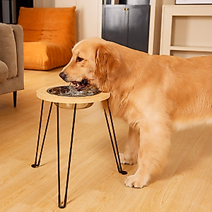 Yangbaga Elevated Dog Bowl for Large Dogs,16.3in High Extra Large Dog Bowl Stand,Comes with a Stainless Steel Bowl with Capacity of 2L Water or 2.2LBs of Dog Food