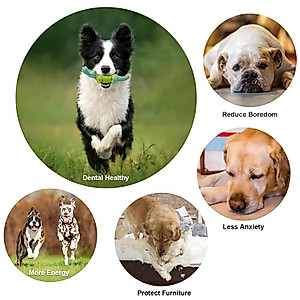 Anhozuo Dog Toys for Aggressive Chewers,Dog Toys for Large Dogs,Durable Dog Toys,Super Chewer Dog Toys,Dog Chew Toys,Tough Chew Toys for Large Medium Dogs Breed,Real Bacon Flavor