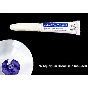 Reefing Art Ceramic Coral Frag Plugs 100 Pack Free Aquarium Glue for SPS LPS Tile (100 Plugs)