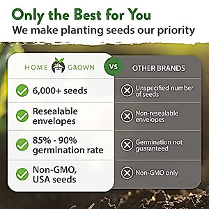 12 Winter Vegetable Seeds - Heirloom, Non-GMO Fall & Winter Vegetable Seeds for Planting Home Garden: Bean, Beet, Broccoli, Cabbage, Carrot, Cauliflower, Kale, Parsnip, Squash, Chard & More