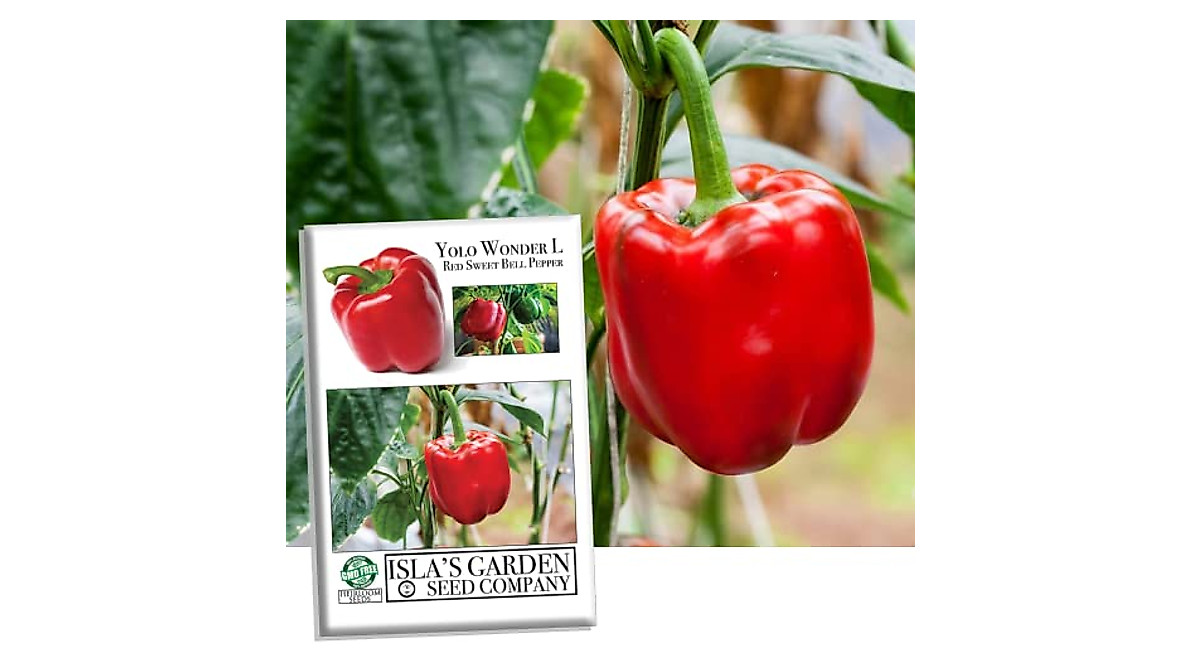 Yolo Wonder L Red Bell Pepper Seeds - Heirloom & Non-GMO for Home Gardens