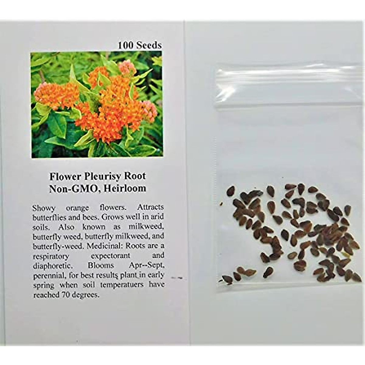 David's Garden Seeds Flower Asclepias Pleurisy Root 2233 (Orange) 100 Non-GMO, Heirloom Seeds