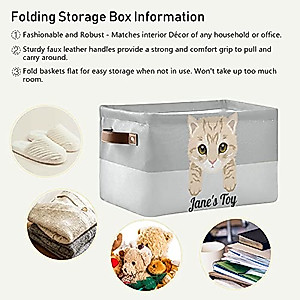 Custom Cat Toy Bin Box Collapsible Storage Cube with Handles Personalized Puppy Supplies