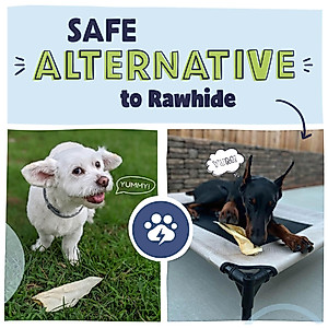 Pawstruck Natural Lamb Ears Chew Treats for Small & Medium Dogs - Healthy Low Fat, No Artificial Preservatives, Single Ingredient, Highly Digestible Animal Ear - 10 Count - Packaging May Vary