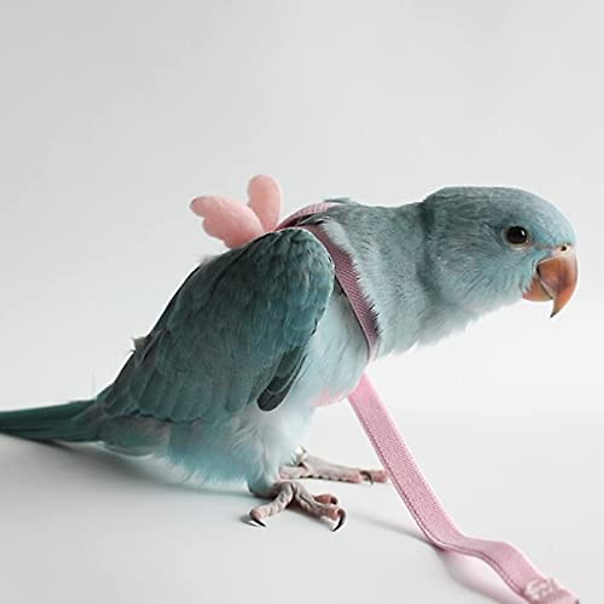 Pet Parrot Bird Harness Leash Adjustable Bird Flying Harness Traction Rope with Cute for Parrots Budgerigar Lovebird Cockatiel Mynah Outdoor Training Toy (Quaker/Sun Conure,Pink)